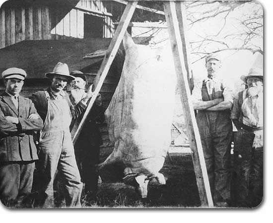 Alexander's Ham Company – Alexander's Ham Company, Inc.